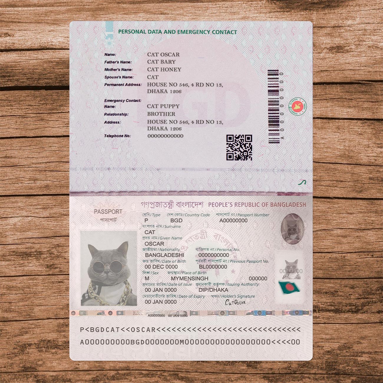 Bangladesh Passport Template - Drivers license template