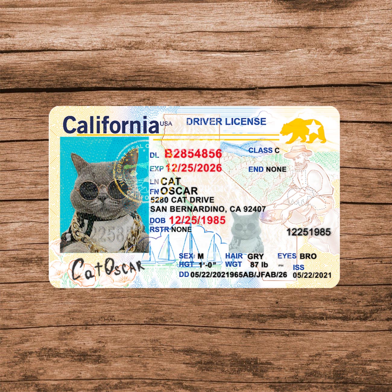 California Driver License Template New - Drivers license template