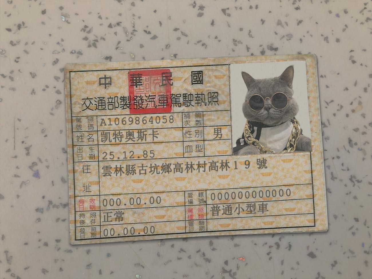 Taiwan Driver License Template - Drivers license template