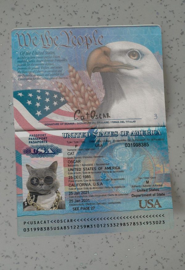 USA Passport Template - Drivers license template